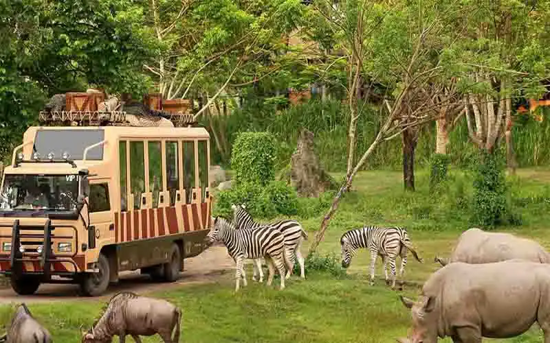 Jungle Hopper Legend Tour Packages | Bali Safari ungle Hopper Legend ...